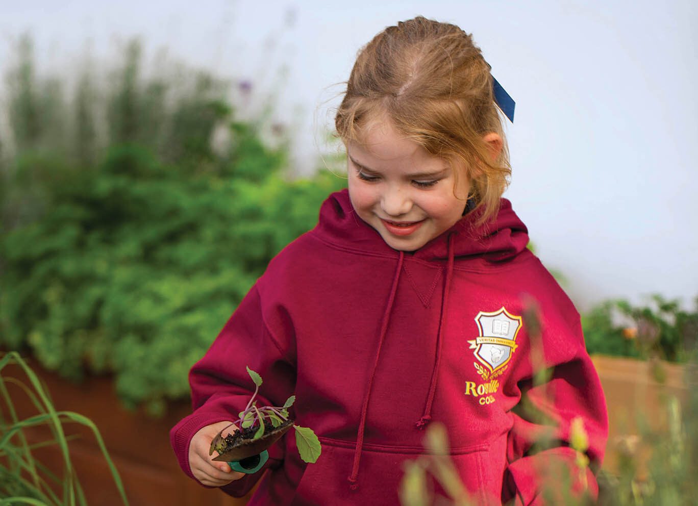 Preparatory - Roseville College